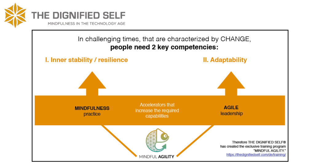 Mindful Agility Training | THE DIGNIFIED SELF - Mindfulness in the ...